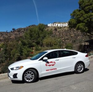 Pest Control in Los Angeles | Dewey Pest
